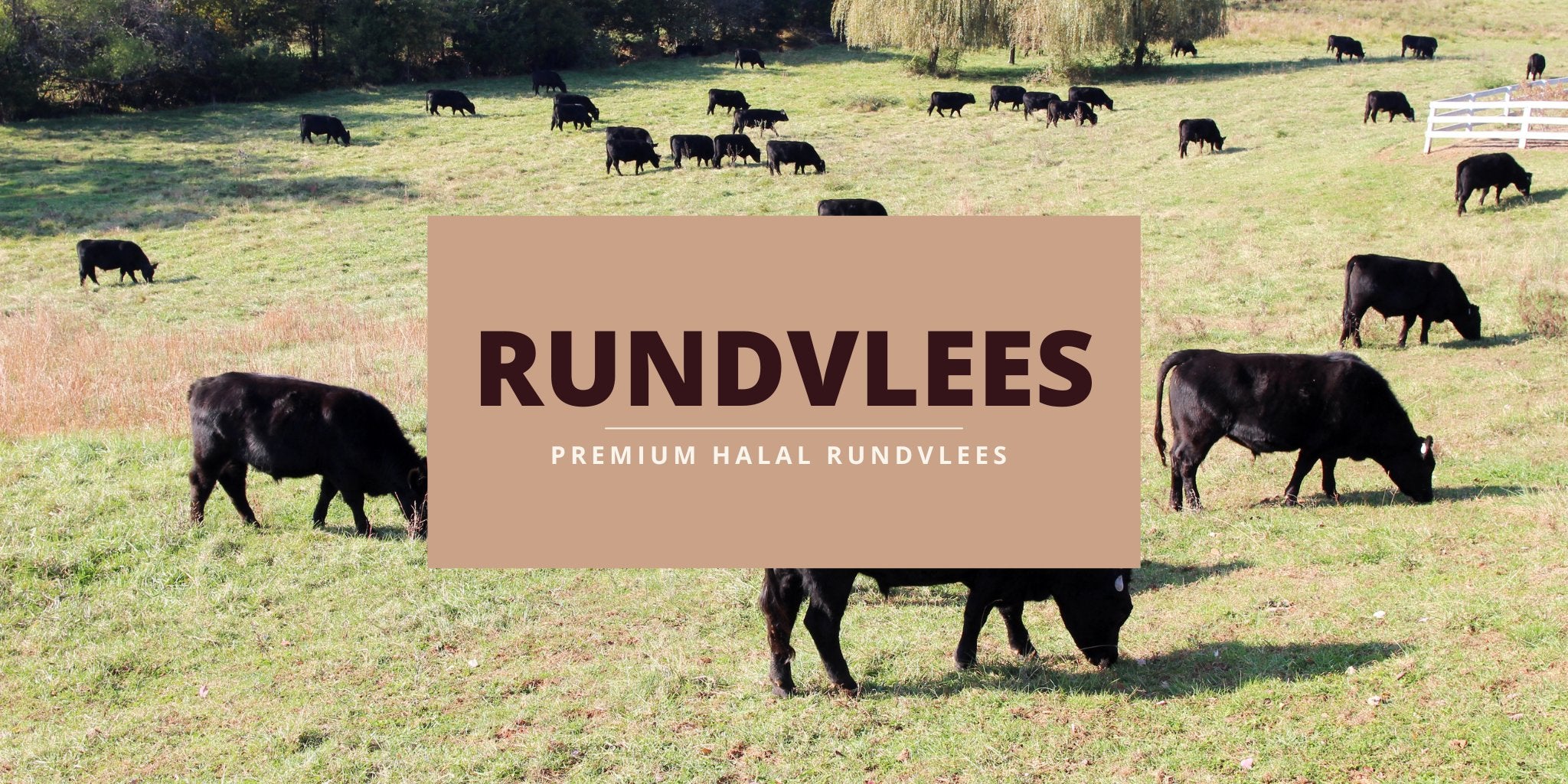 Halal Rundvlees | Australië & Uruguay ⭐️ | Dé Online Halal Slager 🥩 – Premium Halal Meat